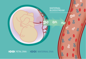 image-DPNI | Gen-Bio | biologie médicale
